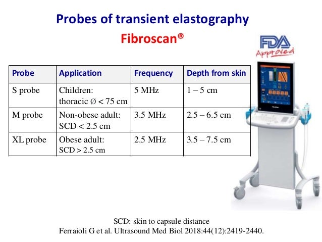 Assessment of liver fibrosis by us elastography