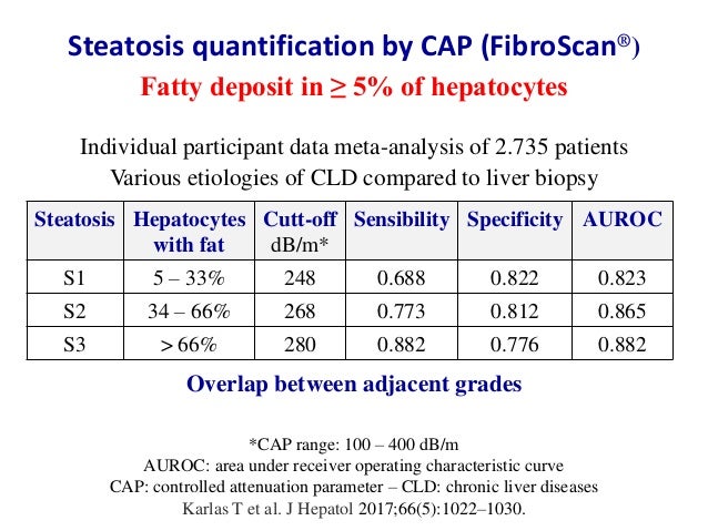 Assessment of liver fibrosis by us elastography