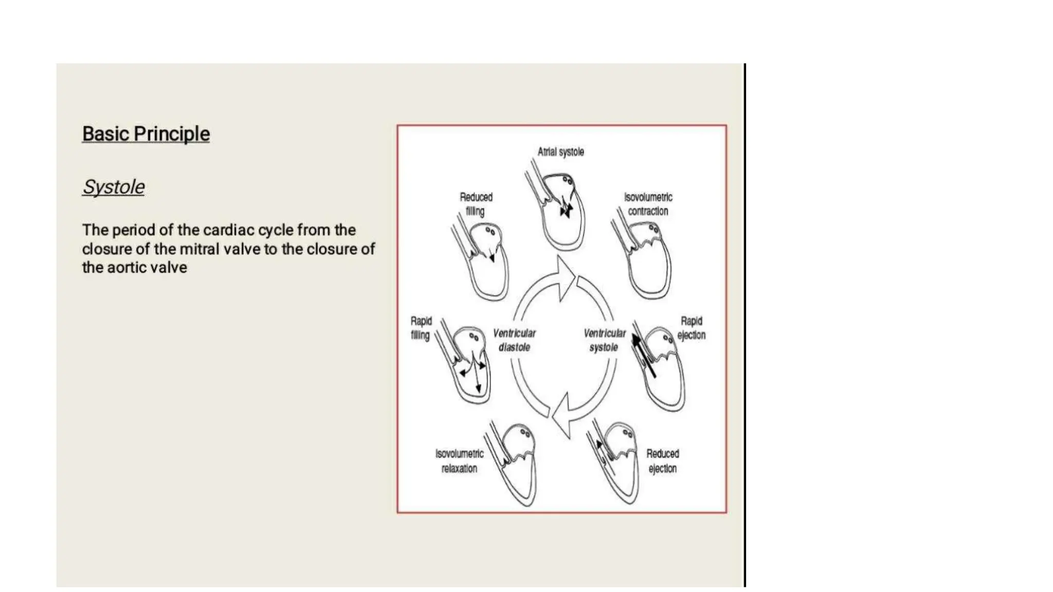 assessment of lv systolic function by echocardiographypptx | PPTX