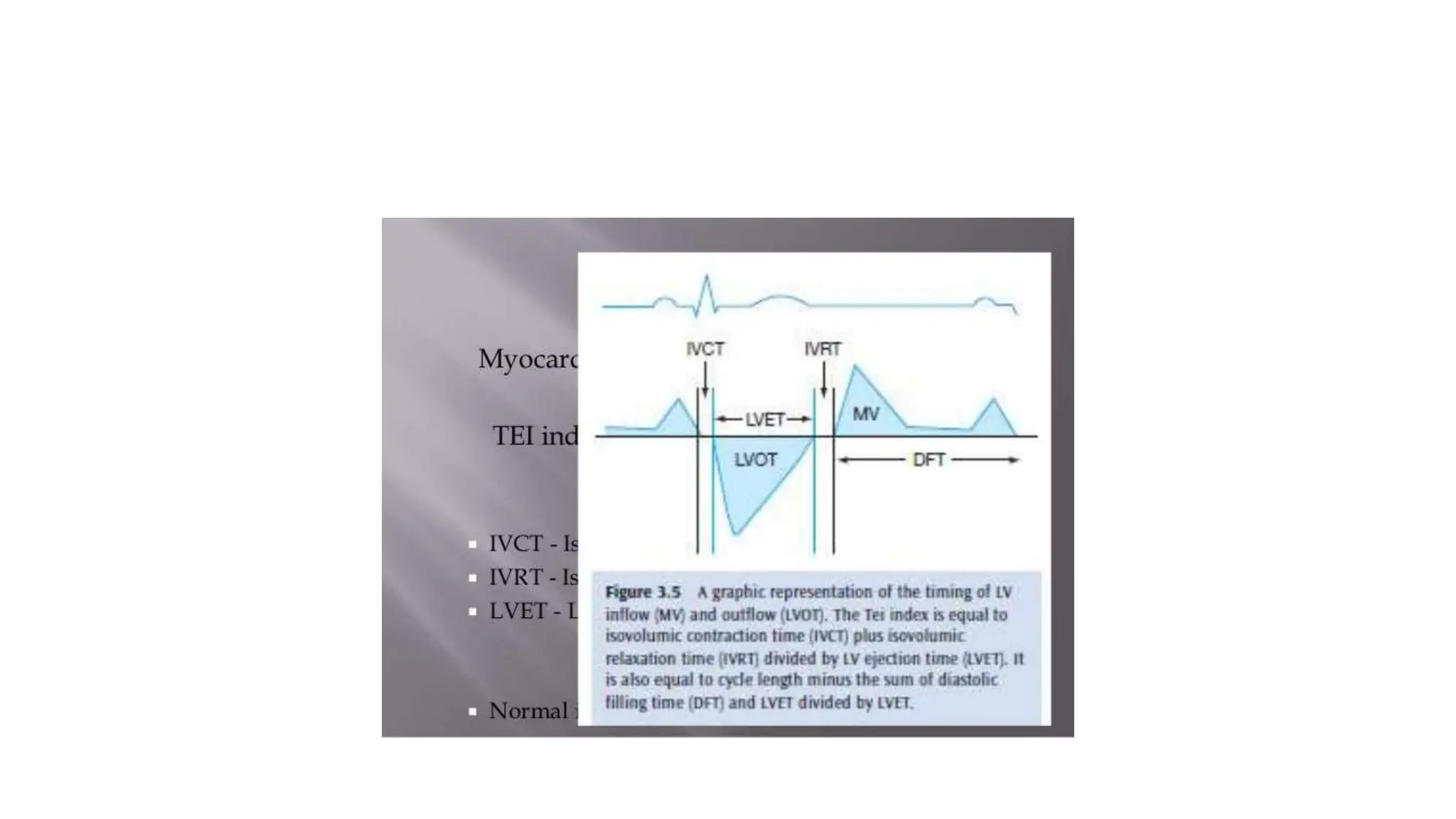 assessment of lv systolic function by echocardiographypptx | PPTX