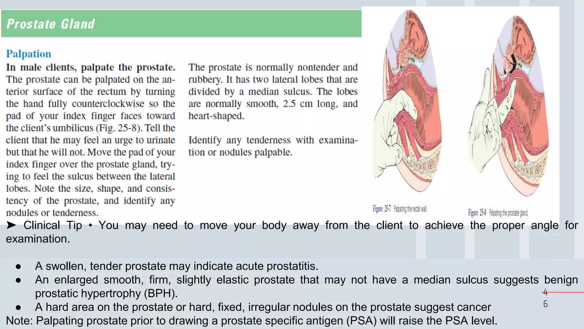 Assessment of male and female geneto anorectal | PDF