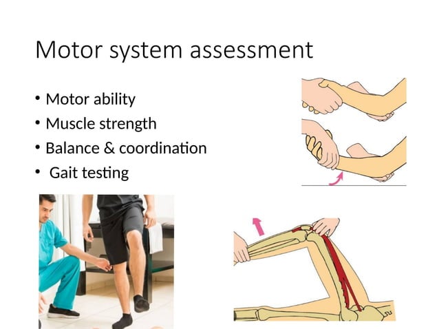assessment of mental status-1.pptx in nursing | PPT