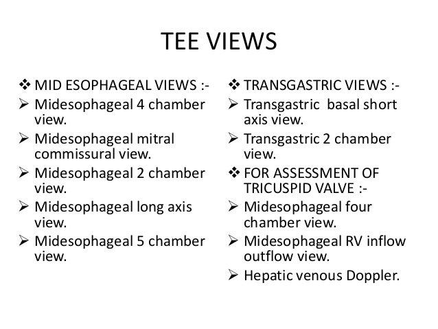 Assessment of mitral valve by TEE