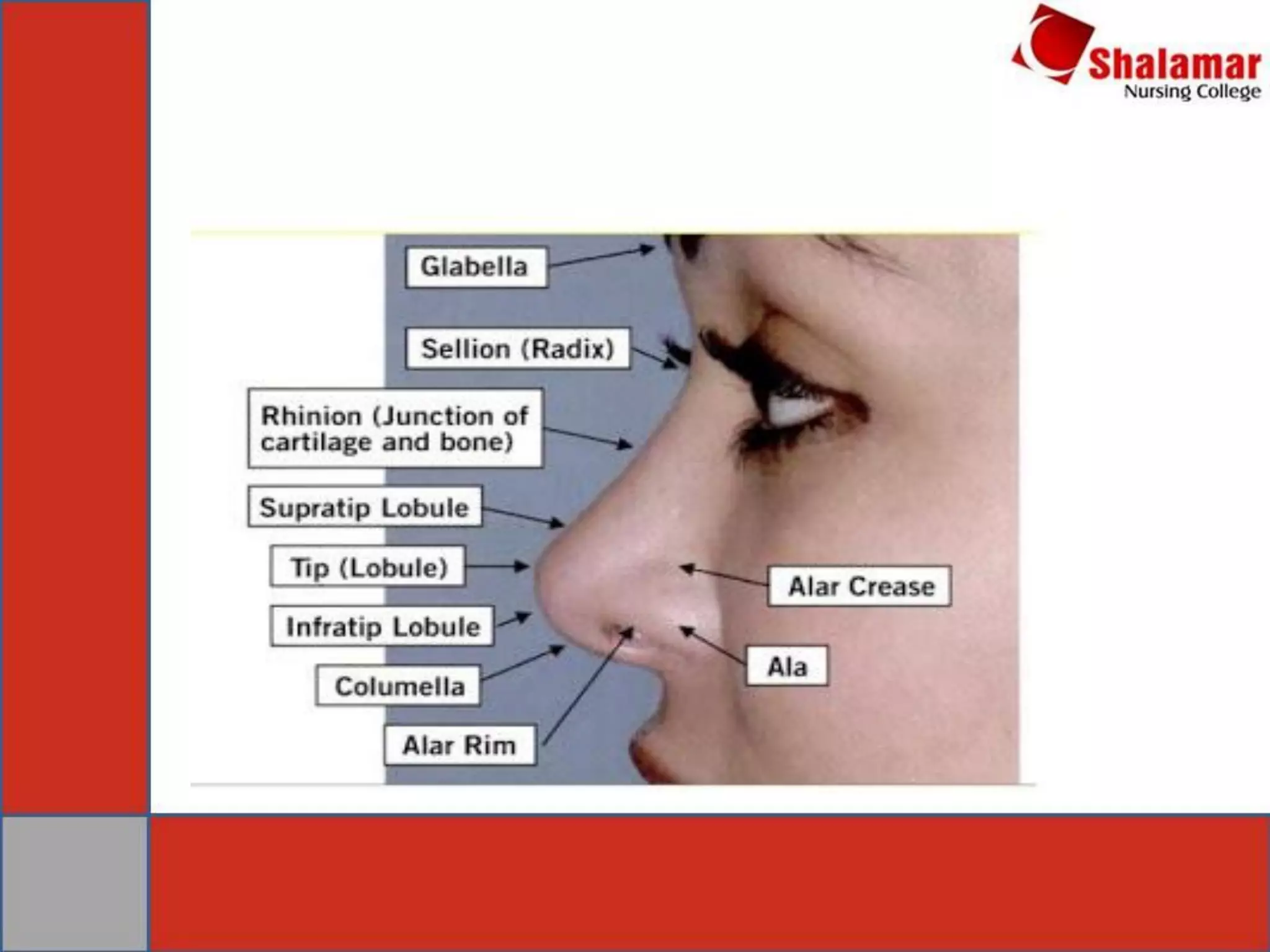 Assessment of Mouth &Pharynx | PDF