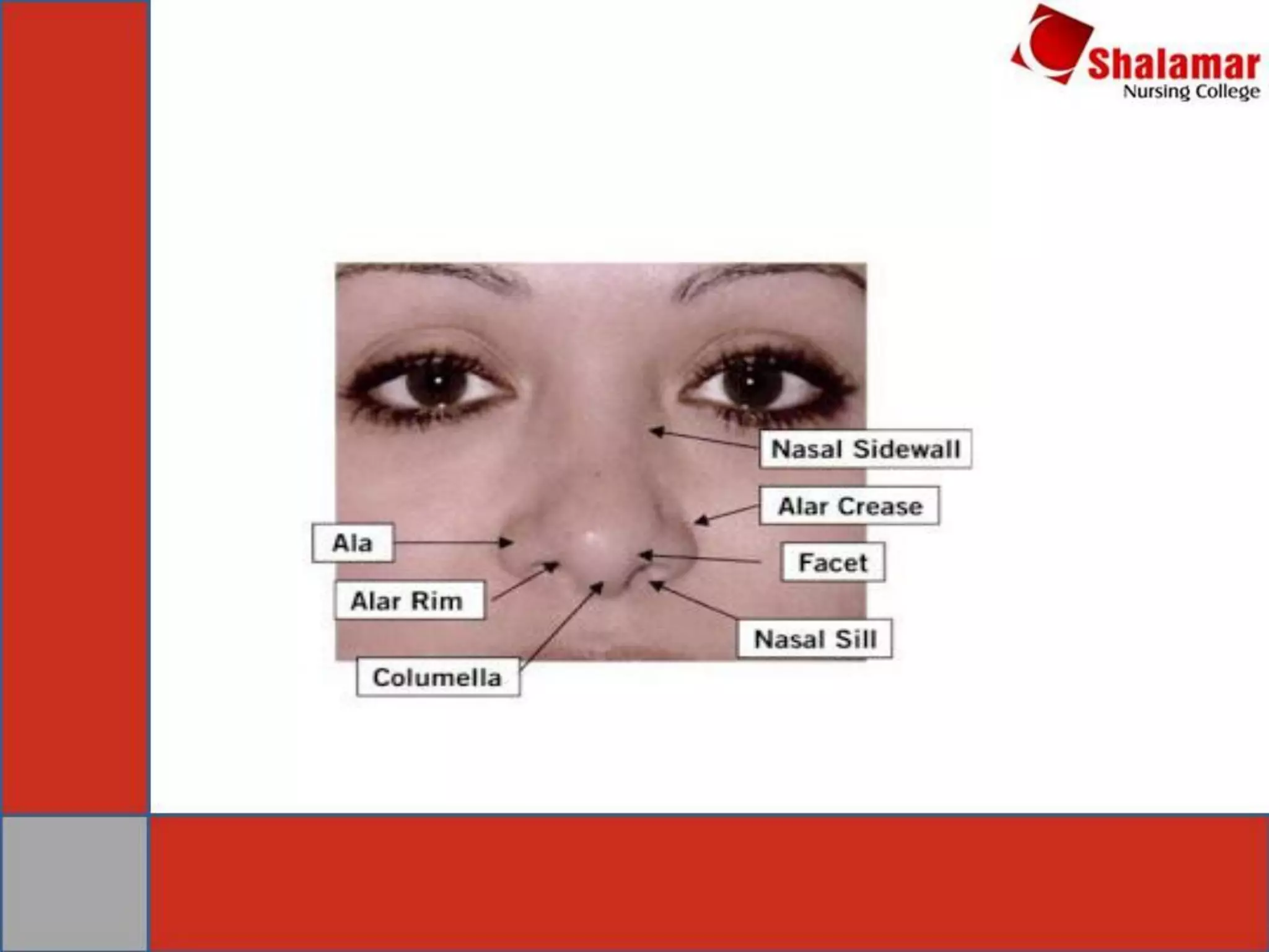 Assessment of Mouth &Pharynx | PDF