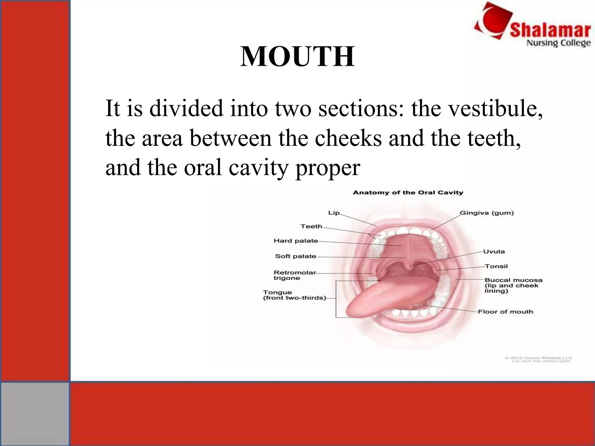 Assessment of Mouth &Pharynx | PDF