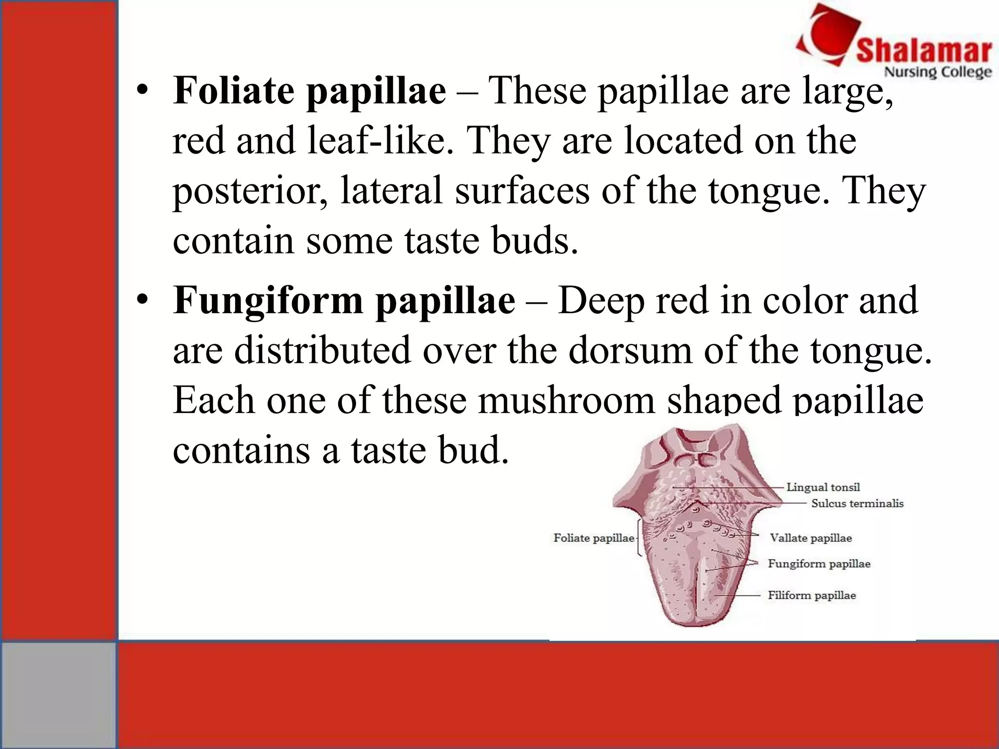 Assessment of Mouth &Pharynx | PDF