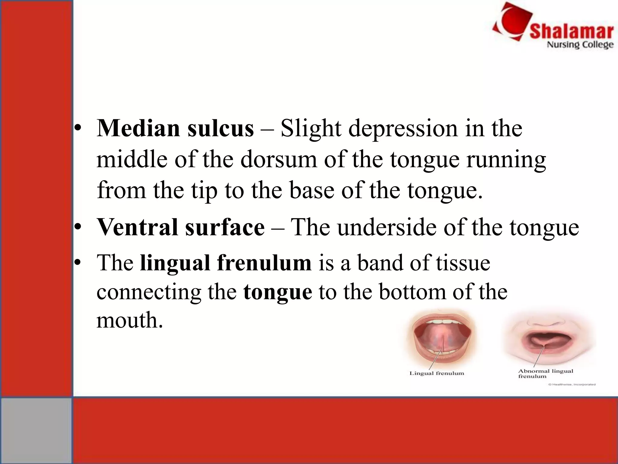 Assessment of Mouth &Pharynx | PDF