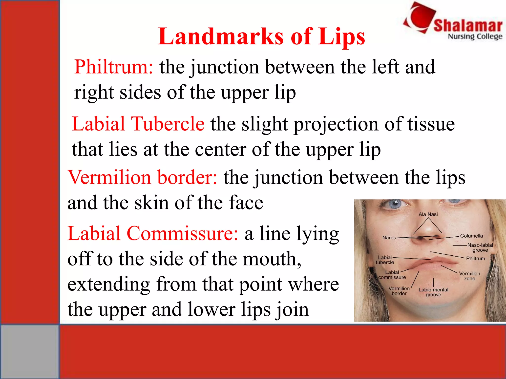 Assessment of Mouth &Pharynx | PDF