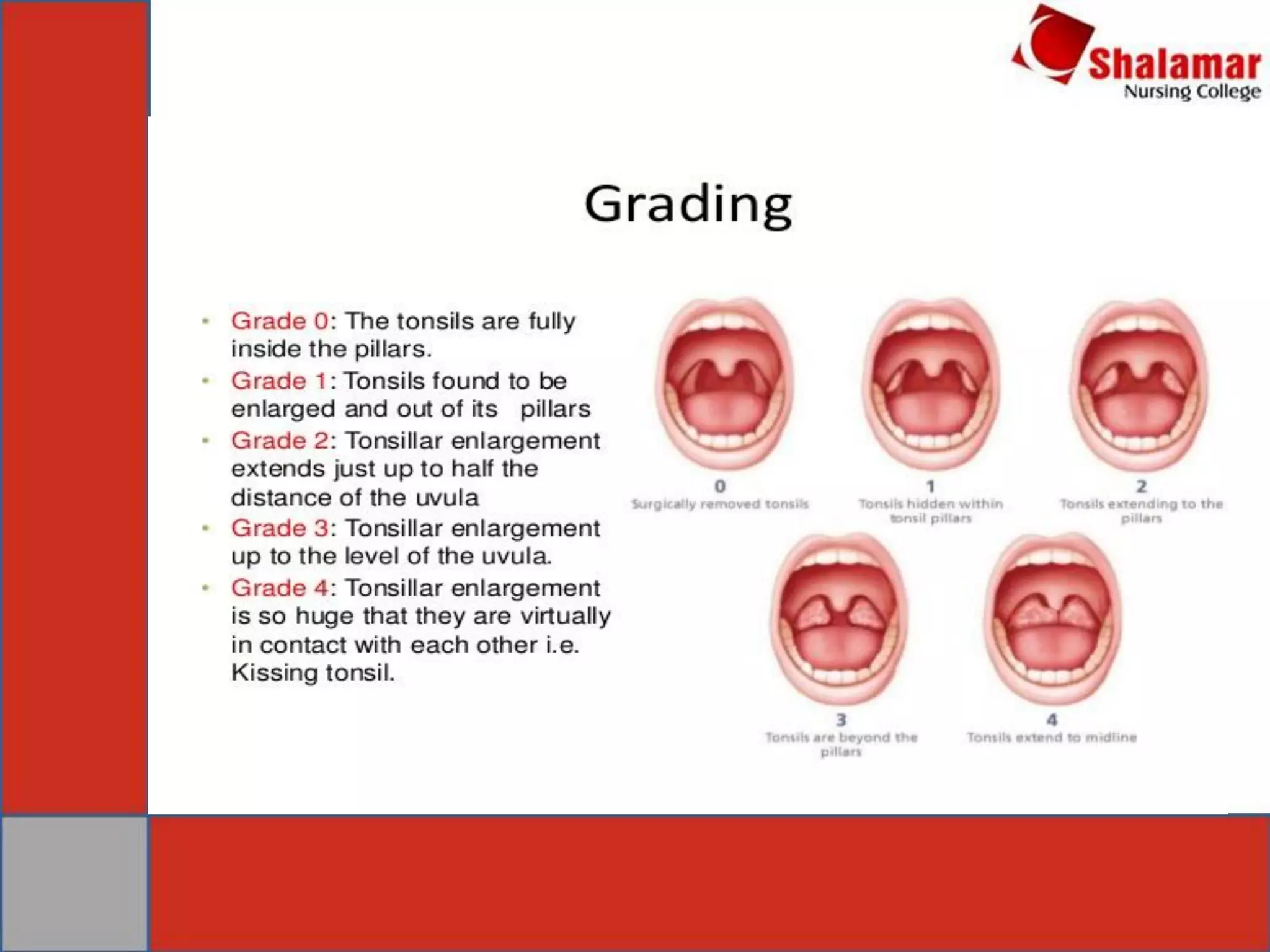 Assessment of Mouth &Pharynx | PDF