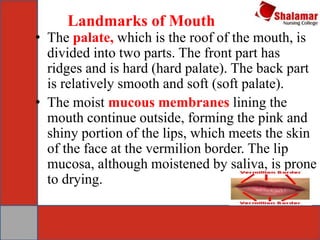 Assessment of Mouth &Pharynx | PDF