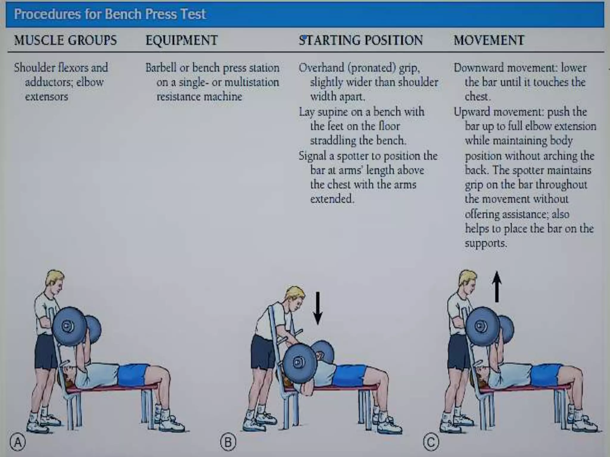 Assessment of muscle power | PPTX