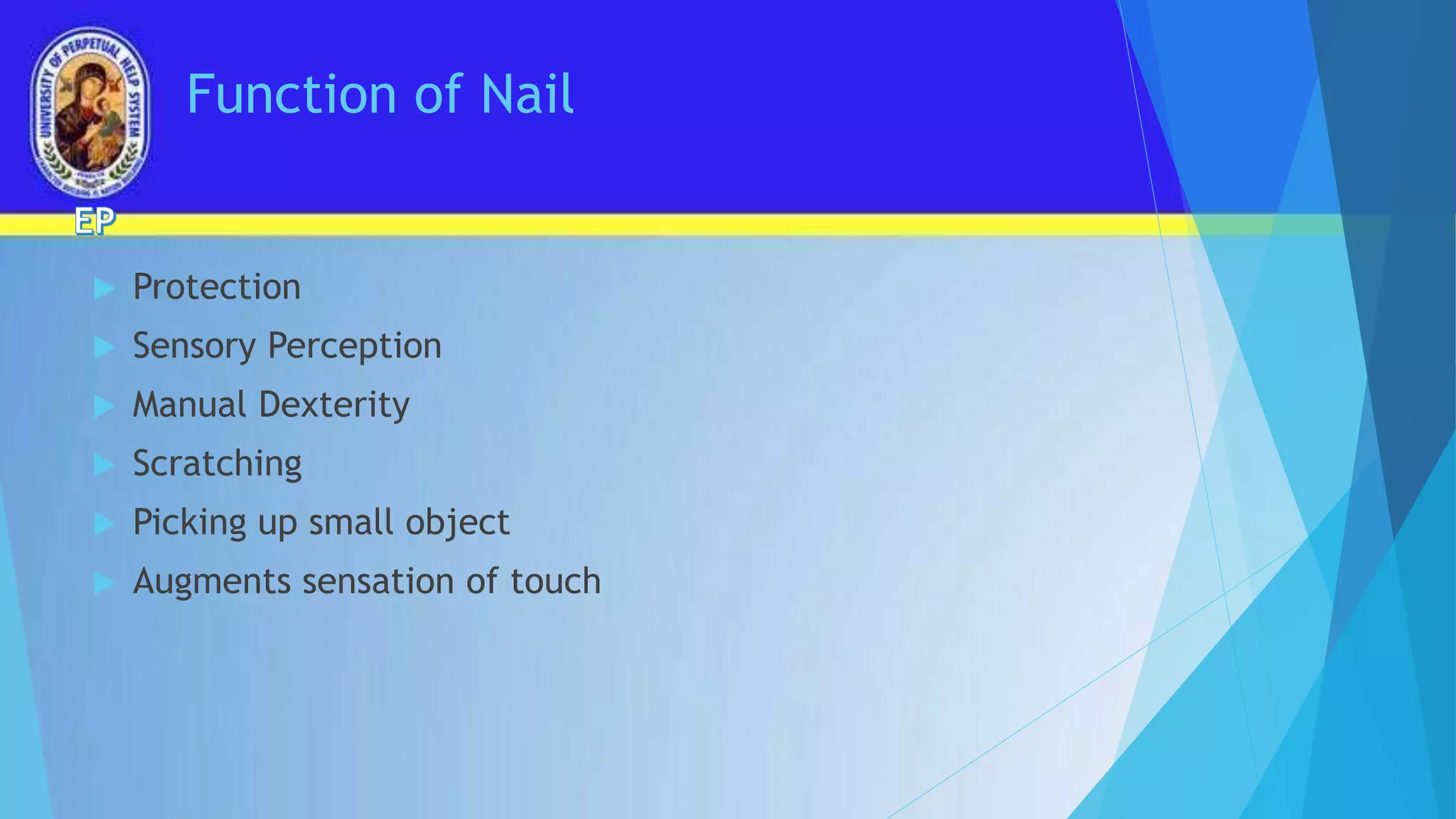 Assessment of Nails.pptx