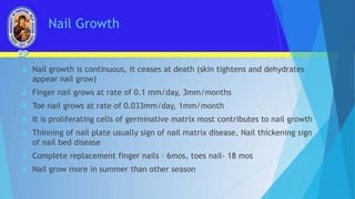 Assessment of Nails.pptx
