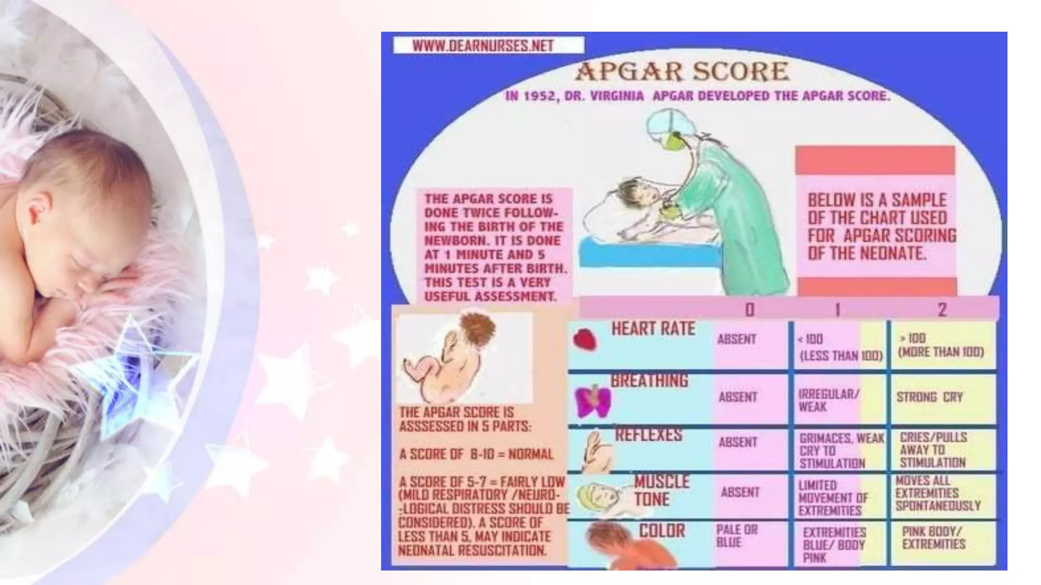 Assessment of newborn | PPTX
