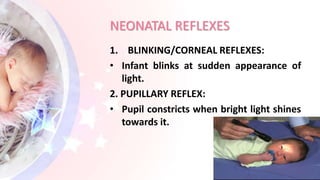Assessment of newborn | PPTX