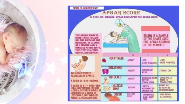 Assessment of newborn | PPTX