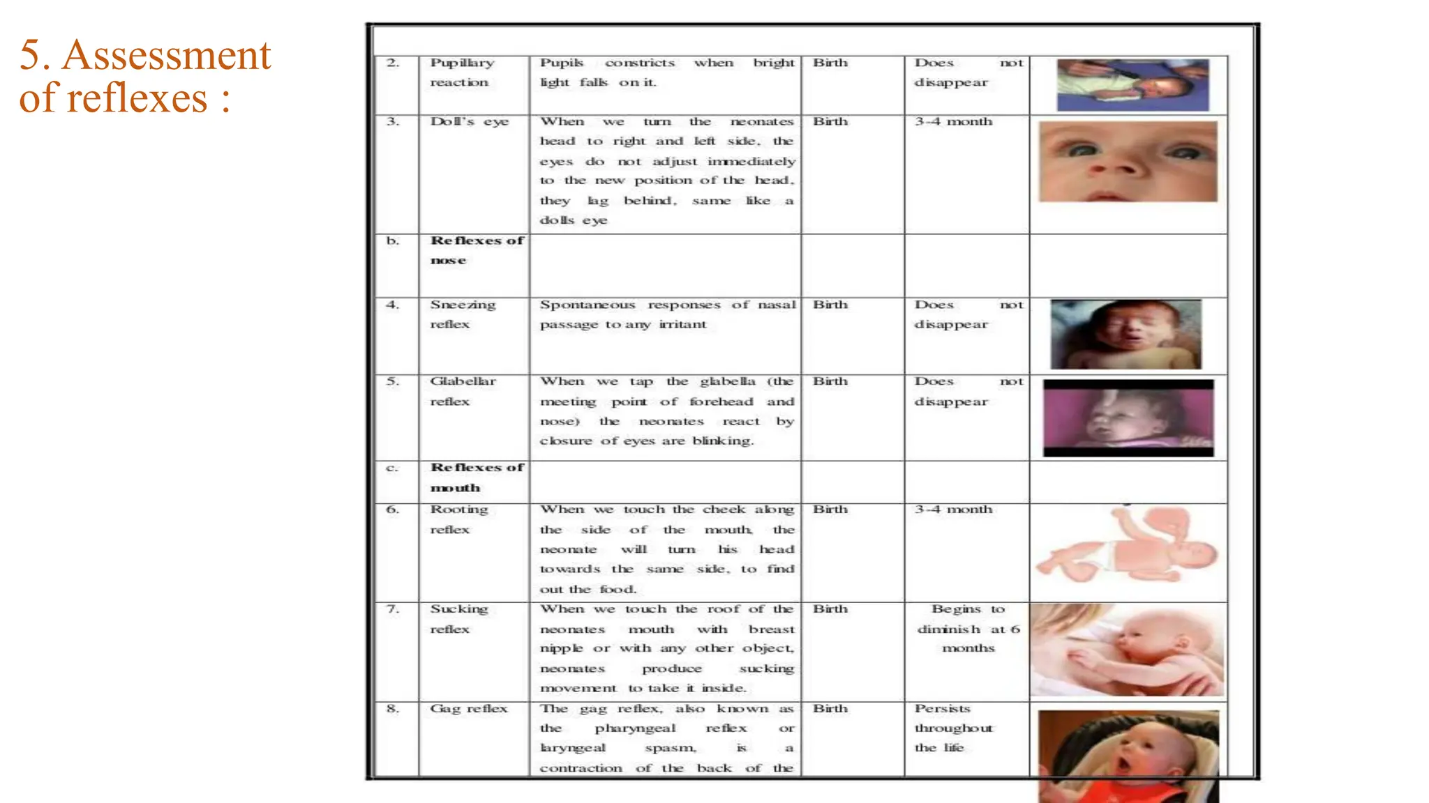 ASSESSMENT OF NEWBORN including ballard score | PPTX