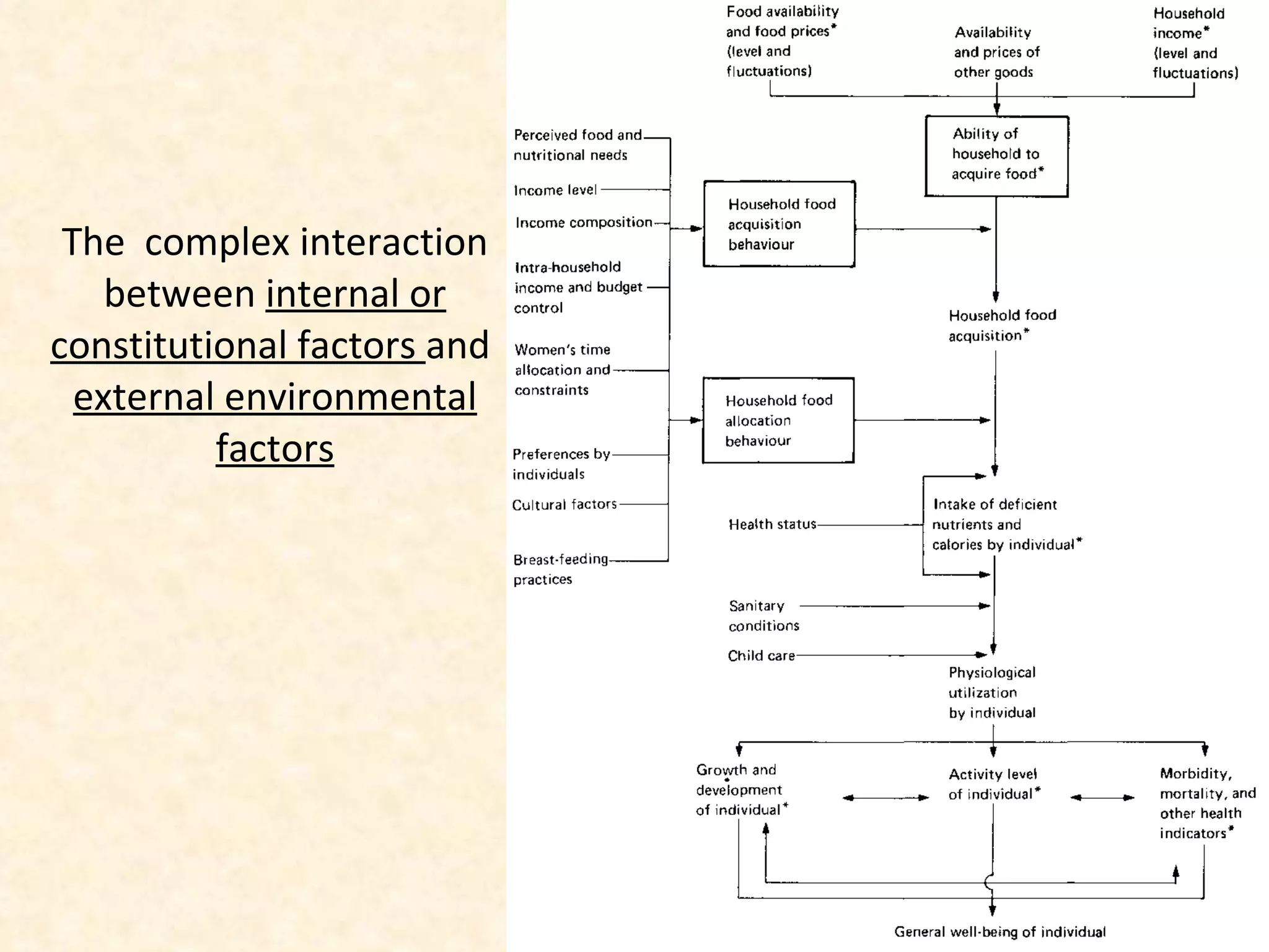 Assessment Of Nutritional Status | PPT