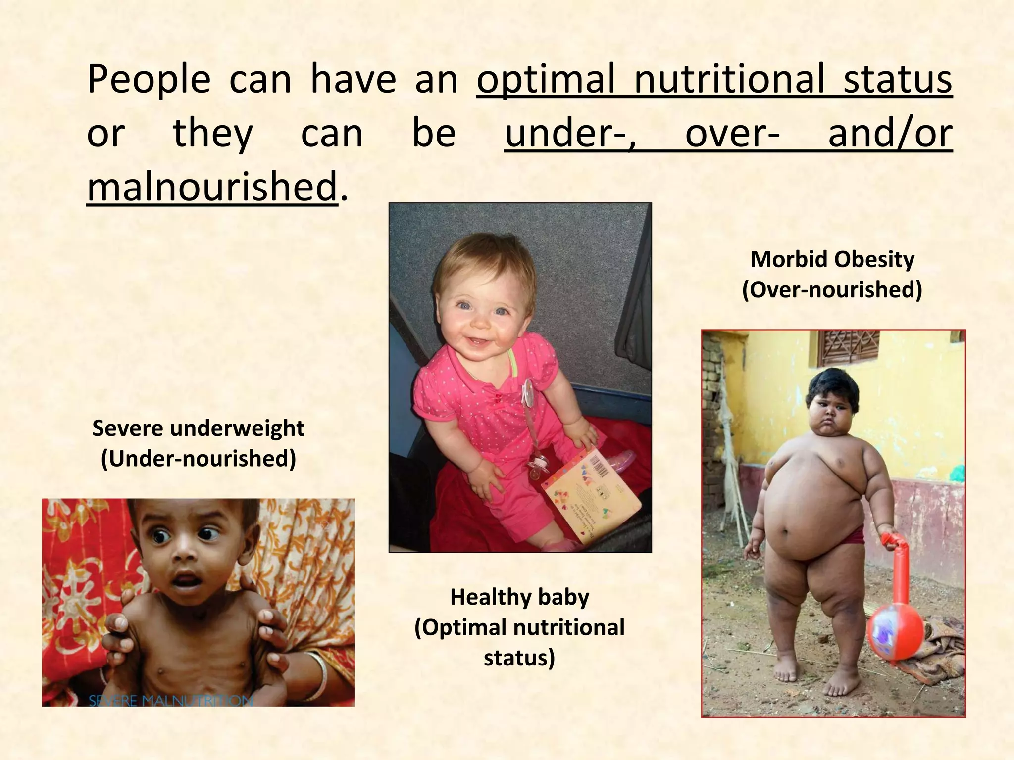 Assessment Of Nutritional Status | PPT