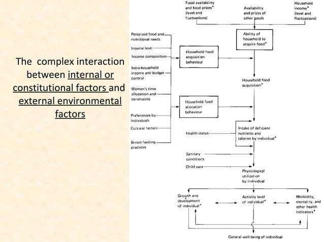 Assessment Of Nutritional Status | PPT | Nutrition | Healthy Living
