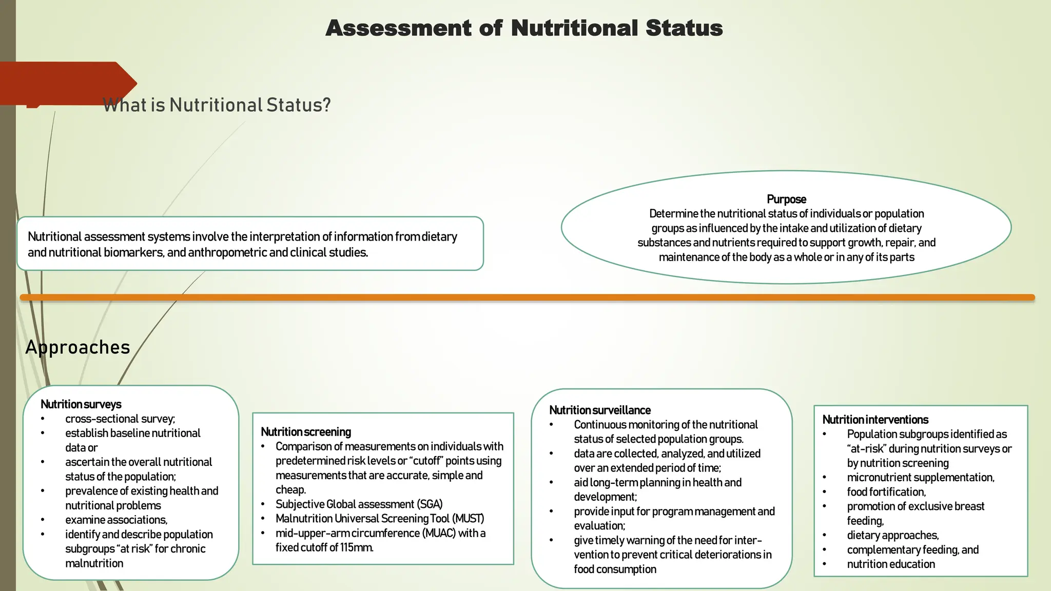 Assessment of Nutritional Status.pptx