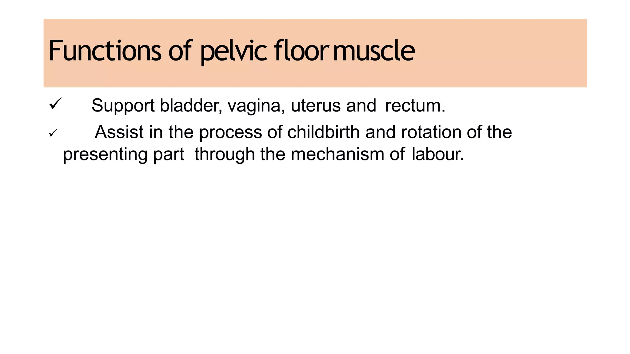 Assessment of Pelvic Floor Muscle.pptx