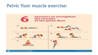 Assessment of Pelvic Floor Muscle.pptx