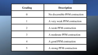 Assessment of Pelvic Floor Muscle.pptx