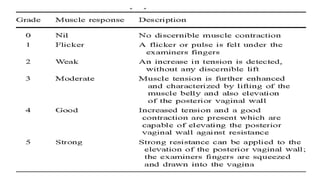 Assessment of Pelvic Floor Muscle.pptx