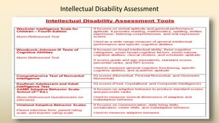 Assessment of person with high support Needs.pptx