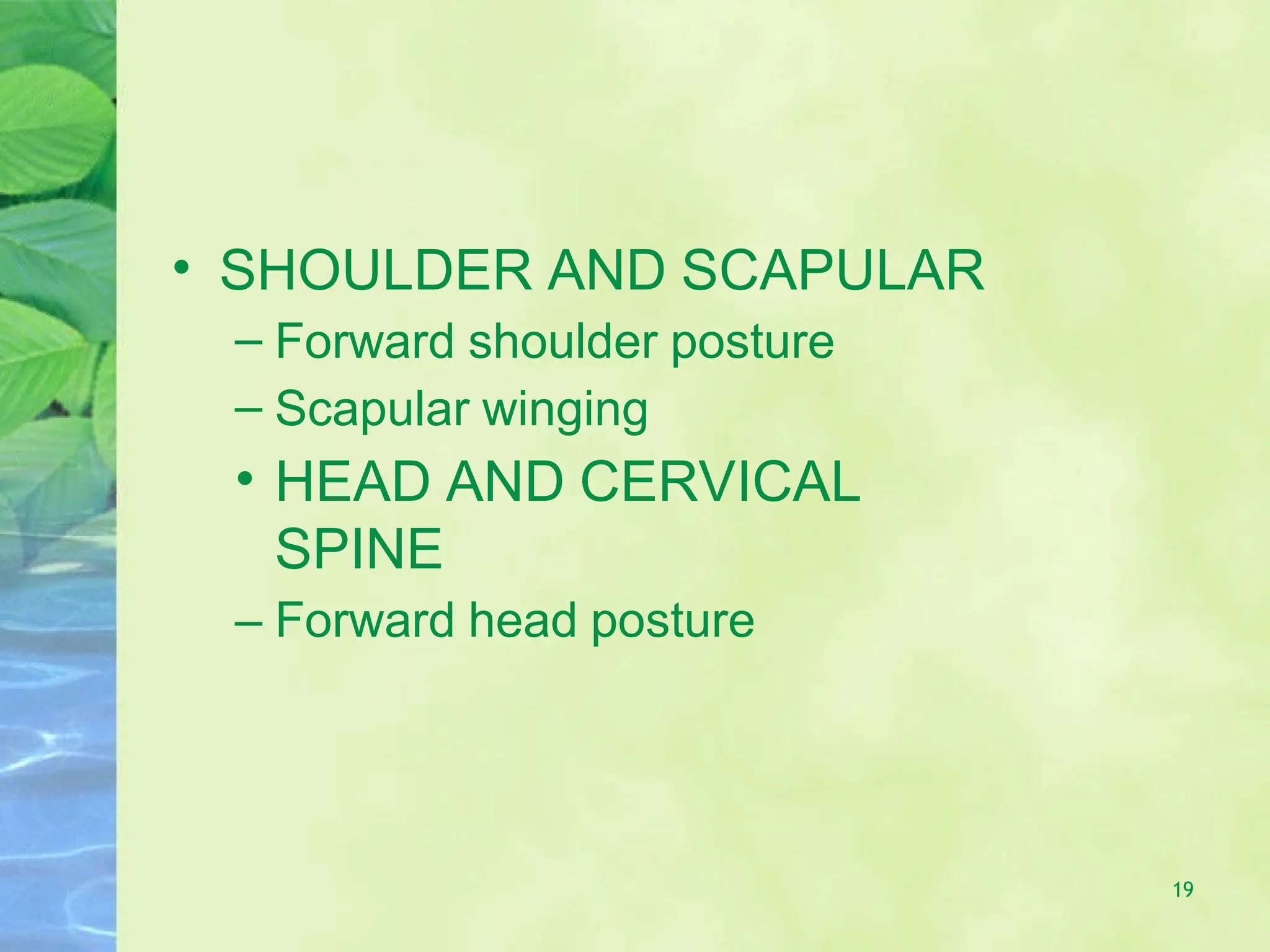 Methods in assessing posture and its abnormality | PPT