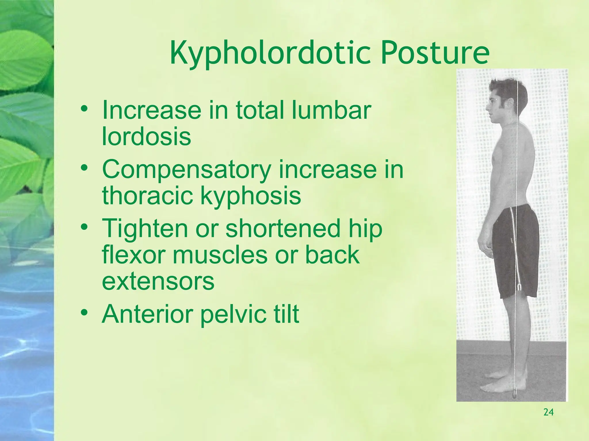 Methods in assessing posture and its abnormality | PPT