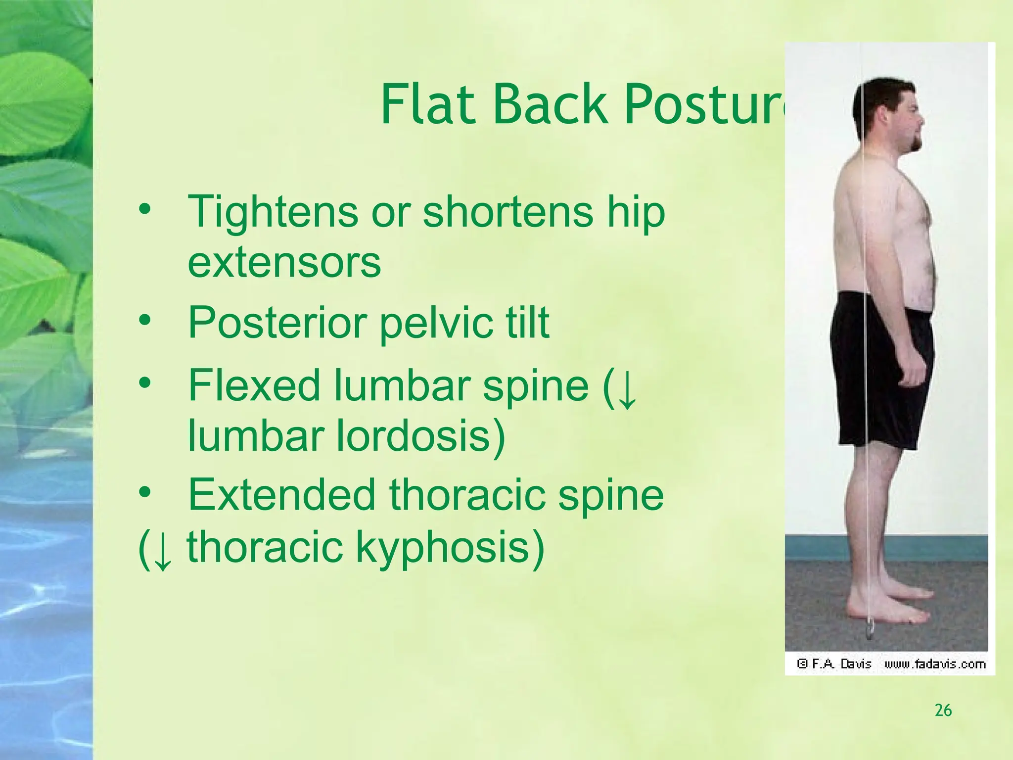 Methods in assessing posture and its abnormality | PPT