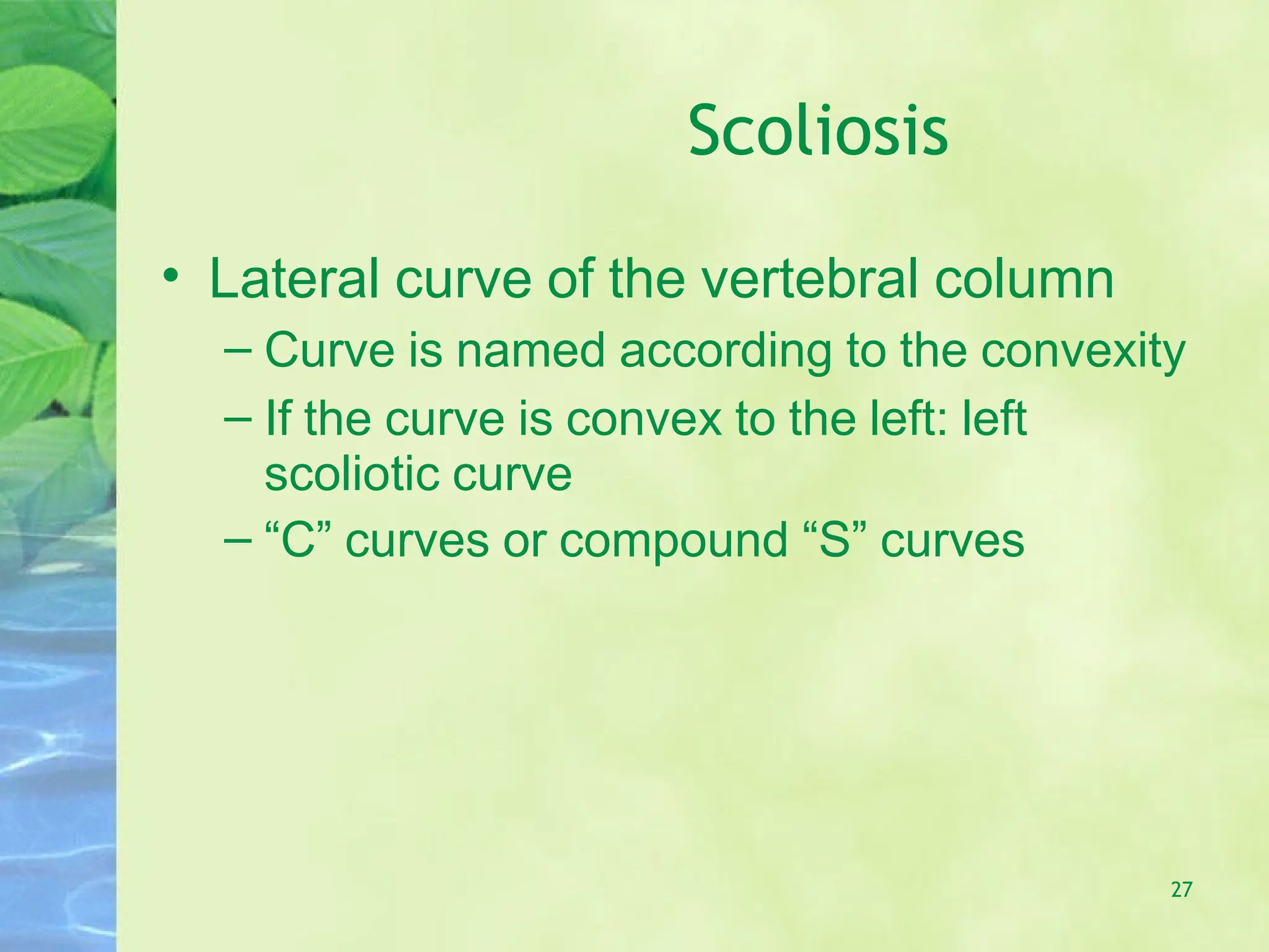 Methods in assessing posture and its abnormality | PPT