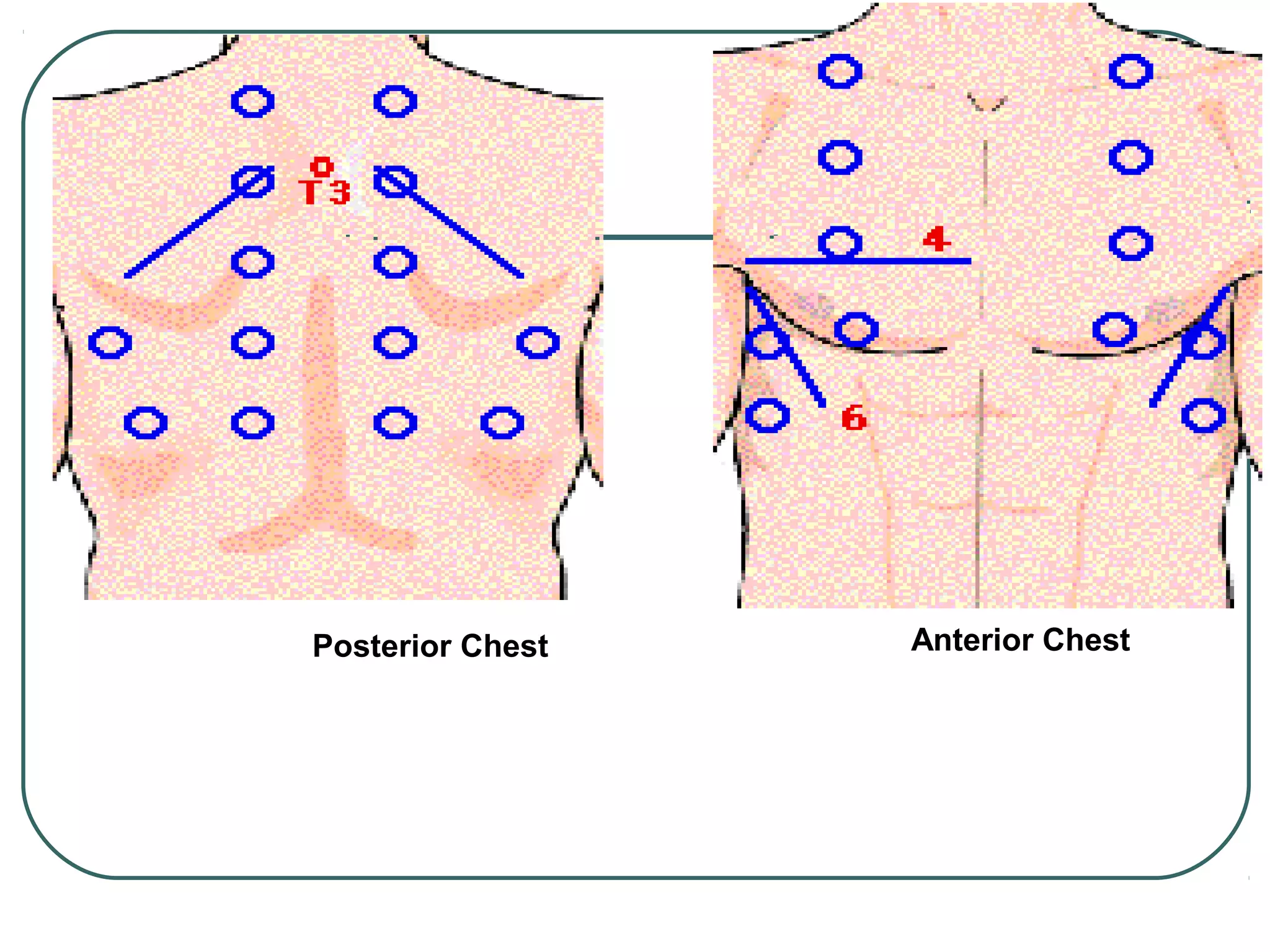 Assessment of respiratory system | PPT