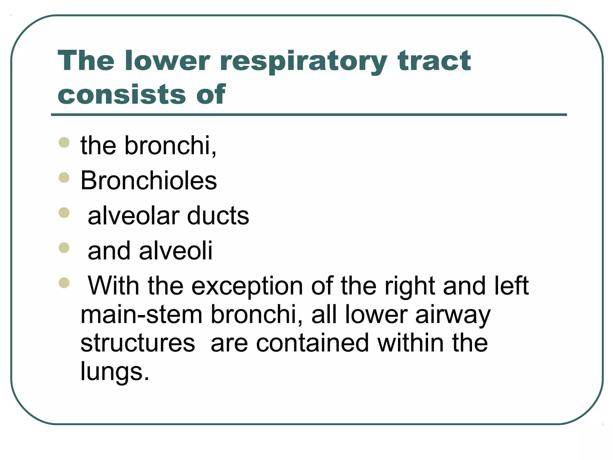 Assessment of respiratory system | PPT