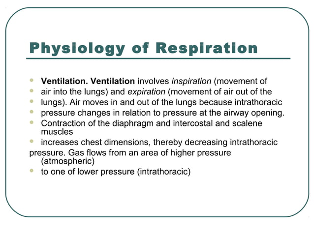 Assessment of respiratory system | PPT | Lung and Respiratory Health ...