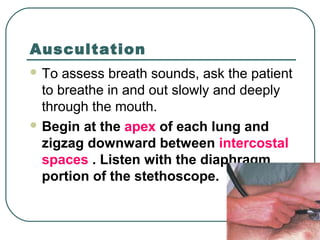 Assessment of respiratory system | PPT