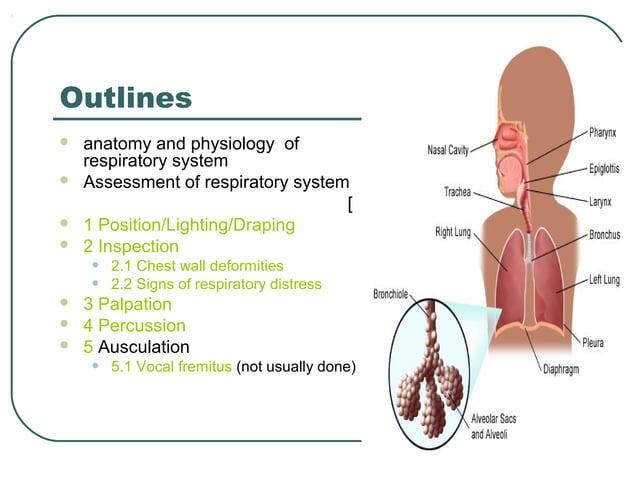 Assessment of respiratory system | PPT | Lung and Respiratory Health ...