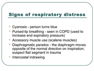 Assessment of respiratory system | PPT