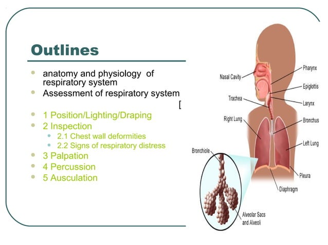 Assessment of respiratory system | PPT | Lung and Respiratory Health ...