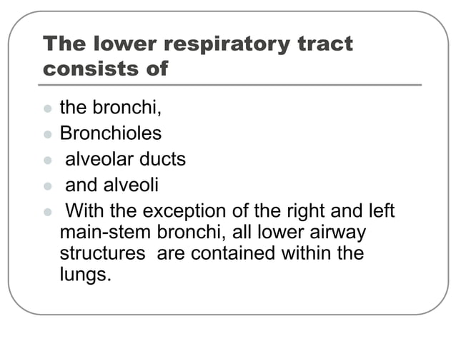 assessment_of_respiratory_system.ppt