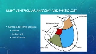Assessment of rv function | PPTX