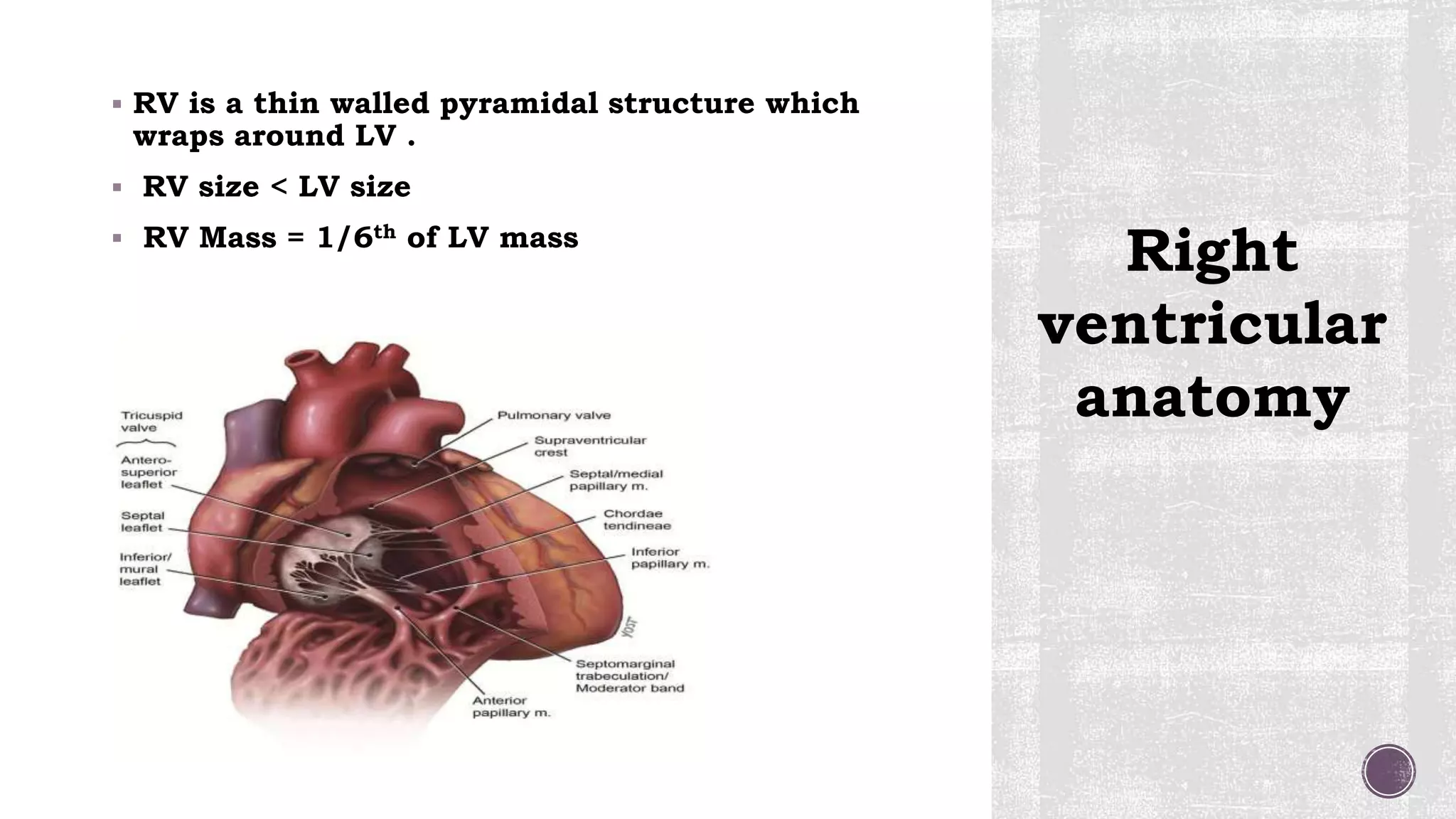 ASSESSMENT OF RV FUNCTION.pptx | Heart and Cardiovascular Diseases ...