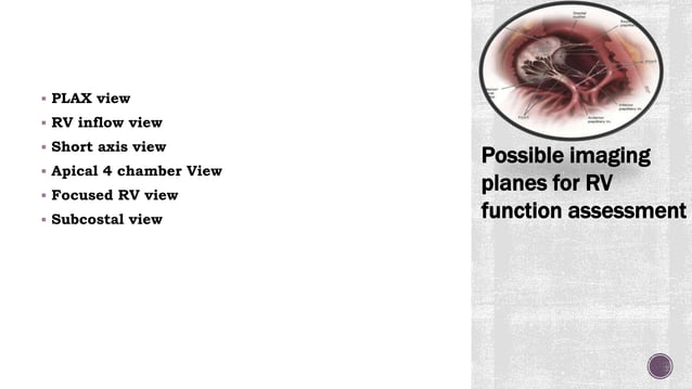ASSESSMENT OF RV FUNCTION.pptx | Heart and Cardiovascular Diseases ...