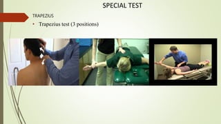 Assessment of shoulder | PPTX