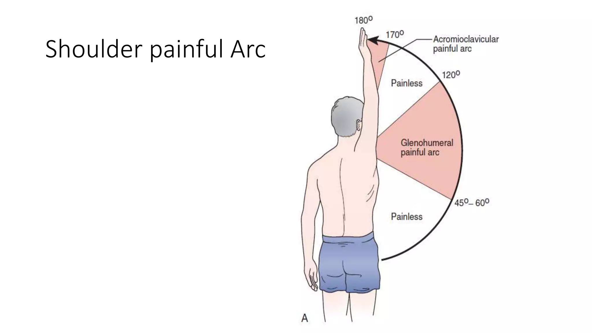 Assessment of shoulder joint | PPT