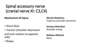 Assessment of shoulder joint | PPT
