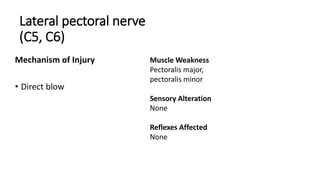 Assessment of shoulder joint | PPT